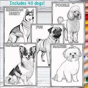 Dog Breeds Research Posters, Coloring Pages - Animal Research Project ...