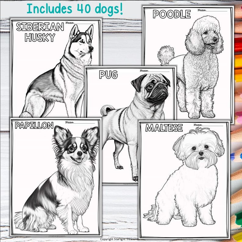 Dog Breeds Research Posters, Coloring Pages - Animal Research Project ...