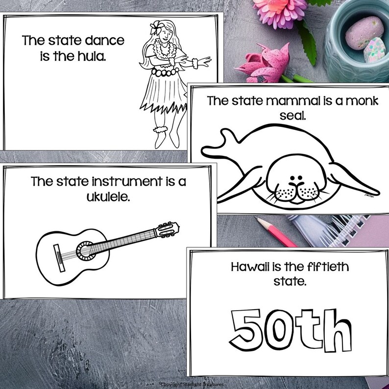 Hawaii Mini Book for Early Readers A State Study - Etsy