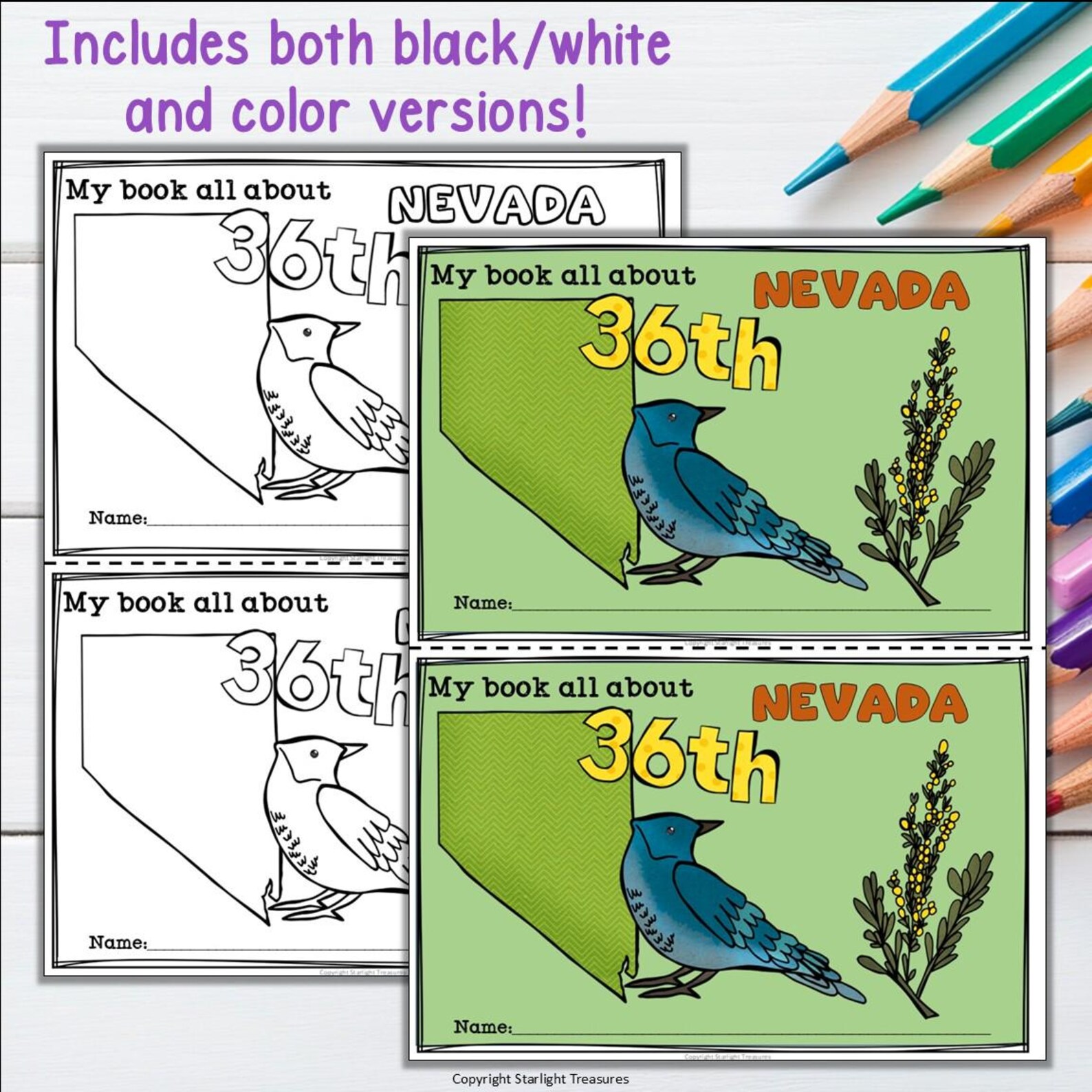 Nevada Mini Book for Early Readers - A State Study - Etsy