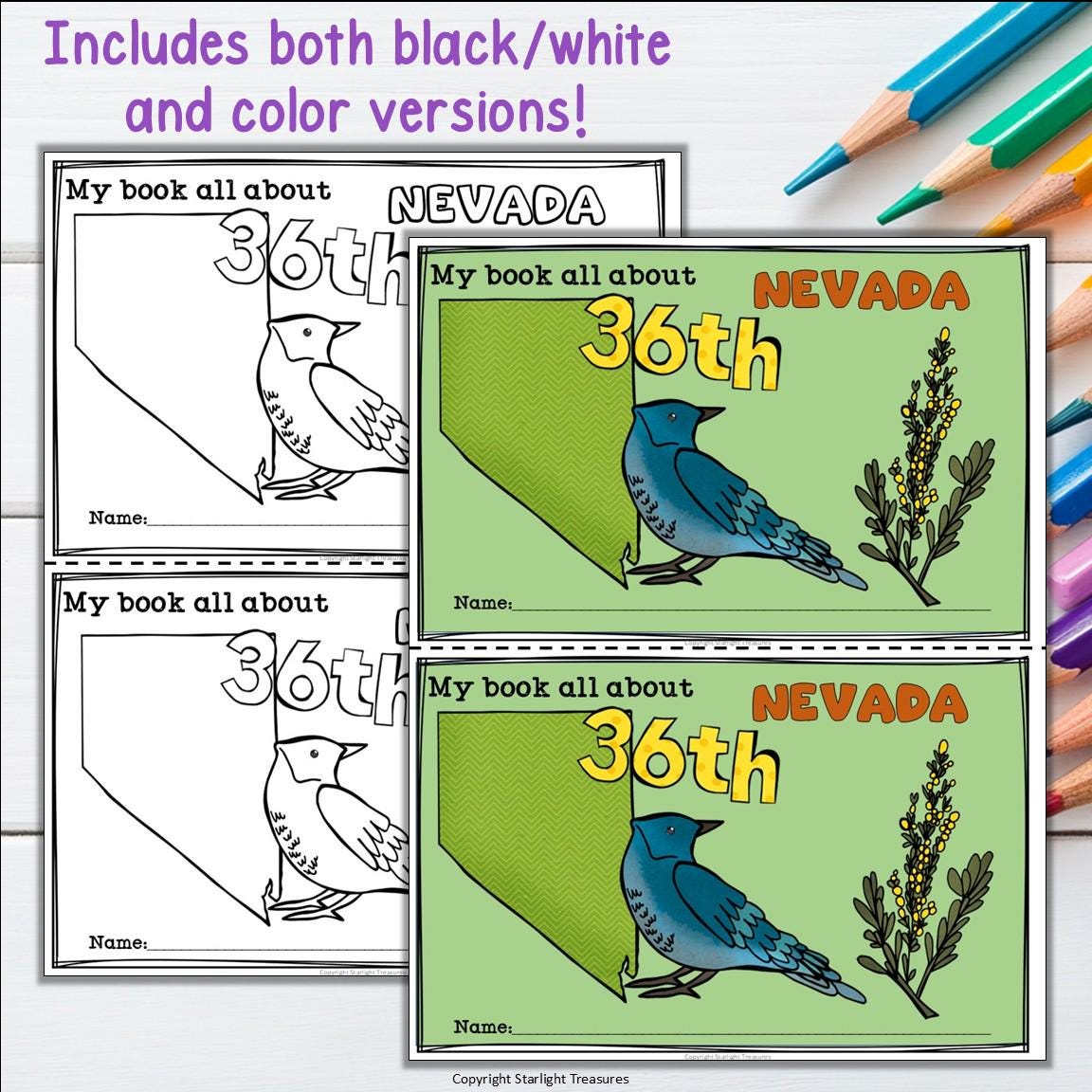 Nevada Mini Book for Early Readers - A State Study - Etsy