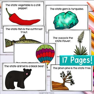 New Mexico Mini Book for Early Readers - A State Study - Etsy