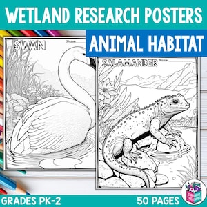 Wetland Animals Research Posters, Coloring Pages - Animal Research ...