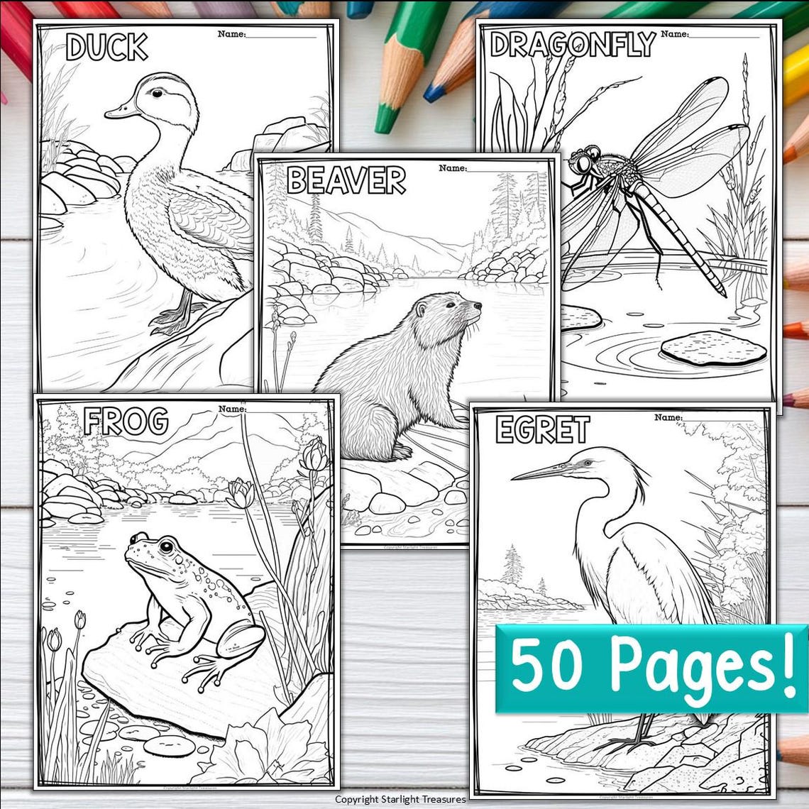 Wetland Animals Research Posters, Coloring Pages - Animal Research ...