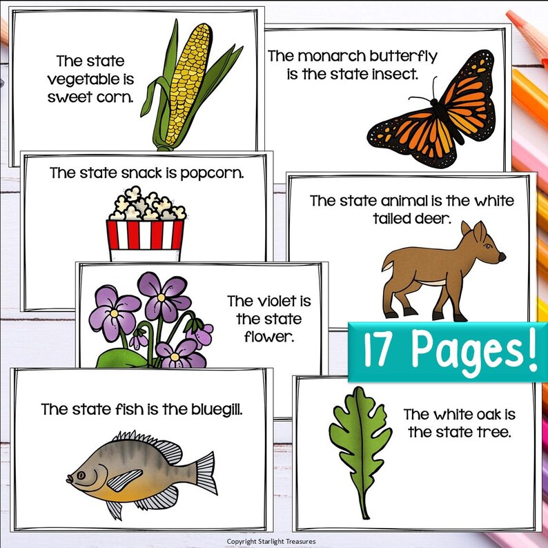 Illinois Mini Book for Early Readers - A State Study - Etsy