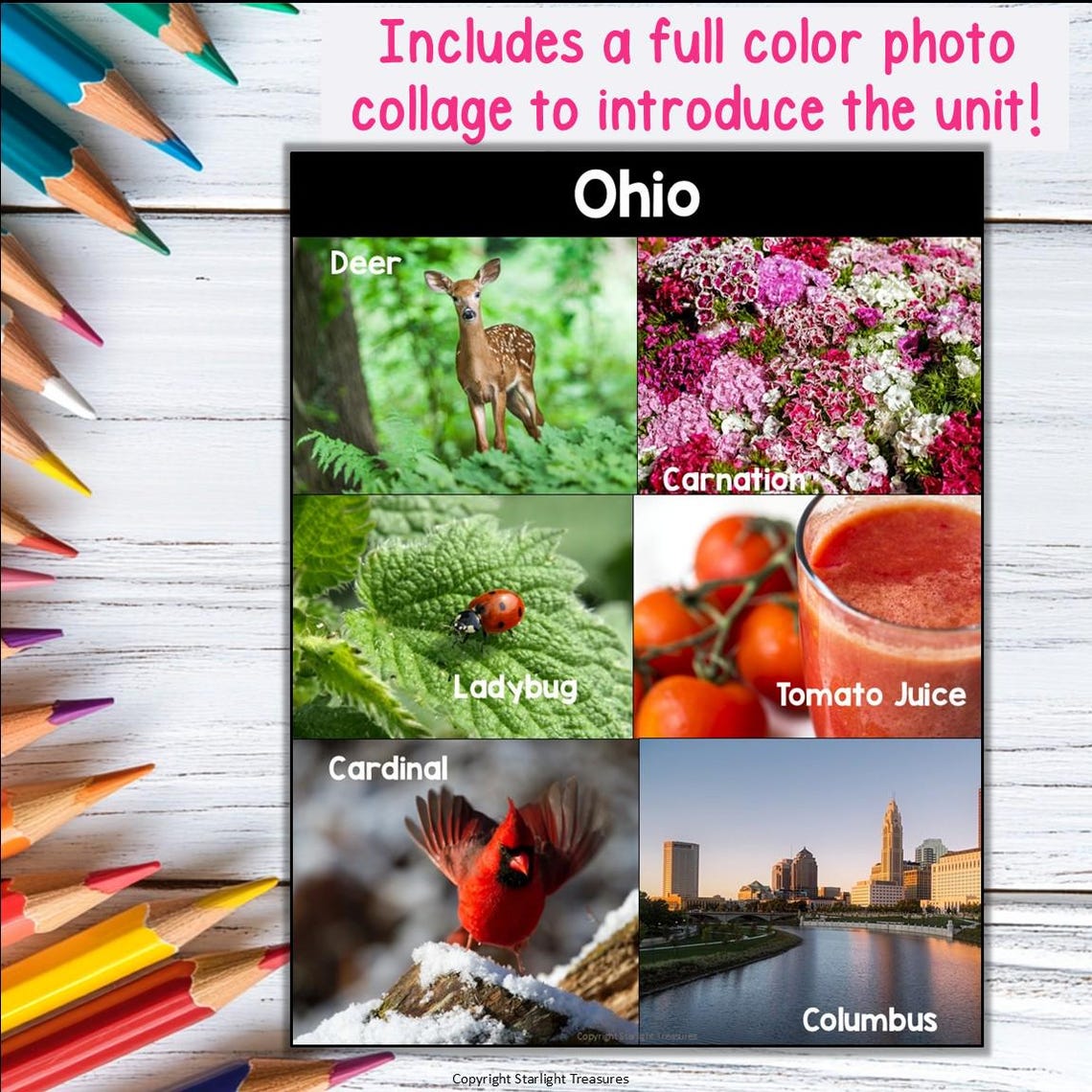 Ohio Mini Book for Early Readers - A State Study - Etsy