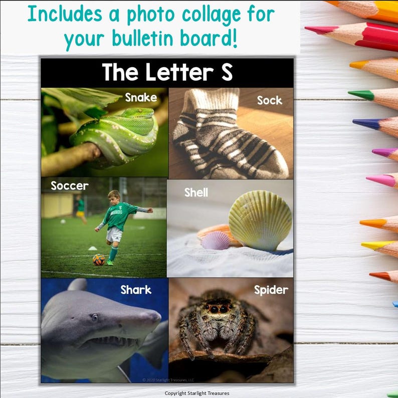 Letter S Mini Book: Alphabet Learning Activity (digital Download) - Etsy