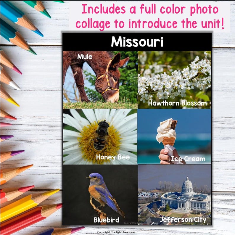 Missouri Mini Book for Early Readers - A State Study - Etsy