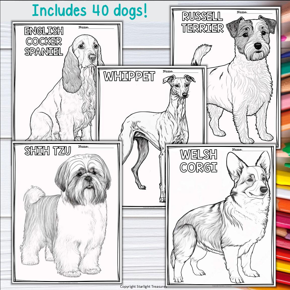 Dog Breeds Research Posters, Coloring Pages - Animal Research Project ...