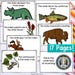 Wyoming Mini Book for Early Readers - A State Study - Etsy