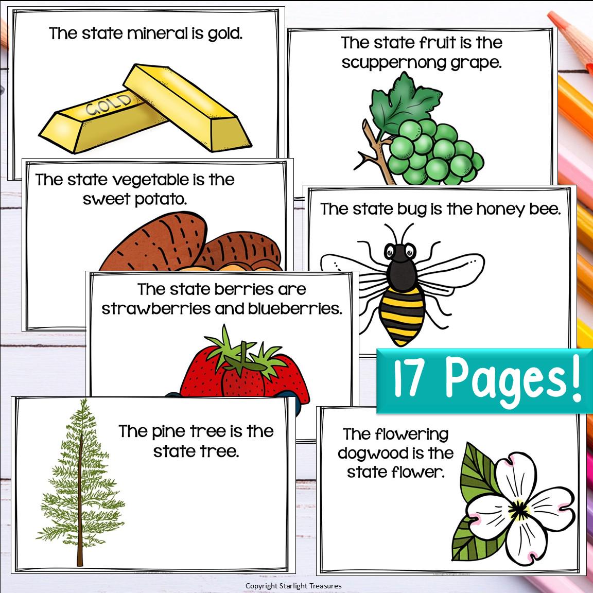 North Carolina Mini Book for Early Readers - A State Study - Etsy