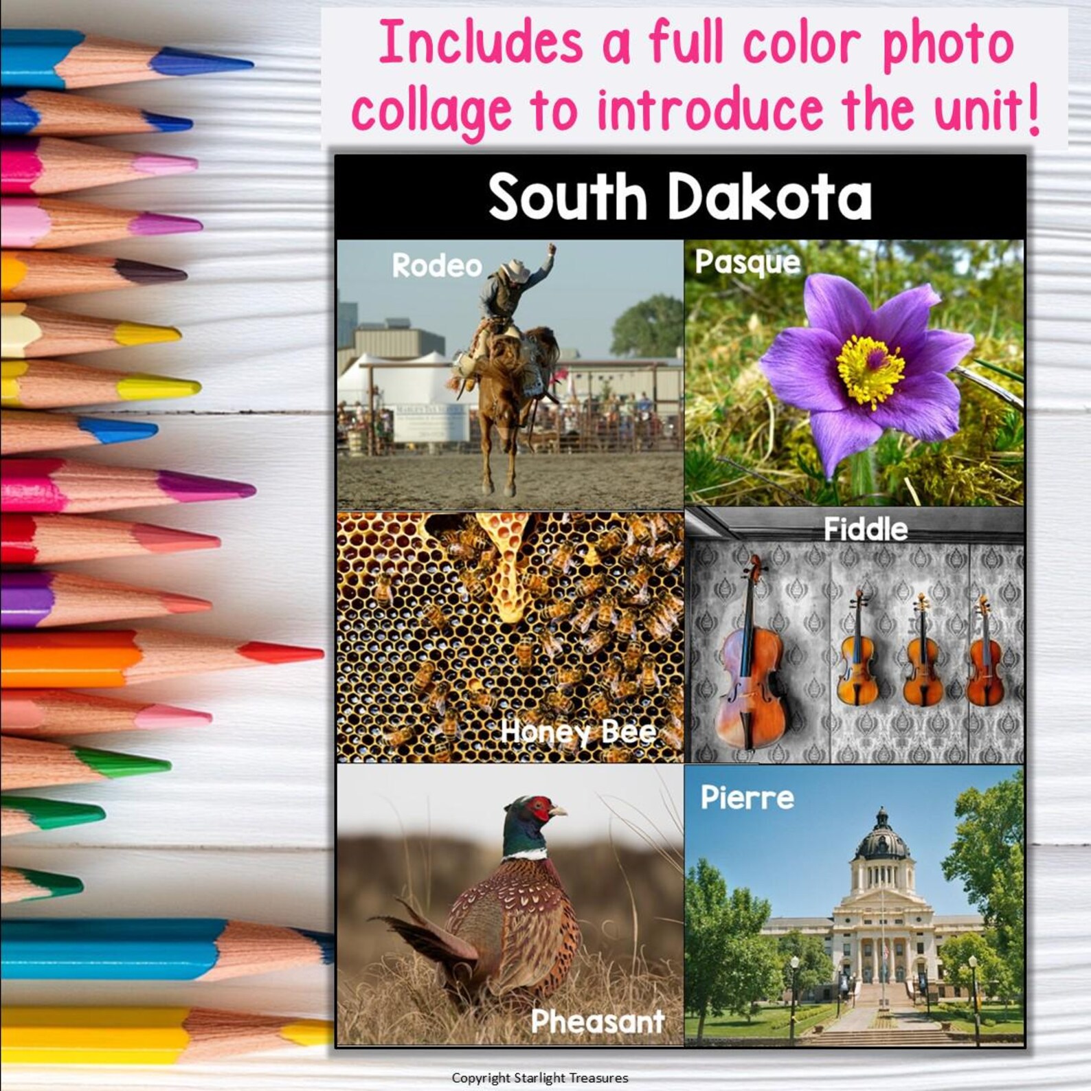 South Dakota Mini Book for Early Readers - A State Study - Etsy