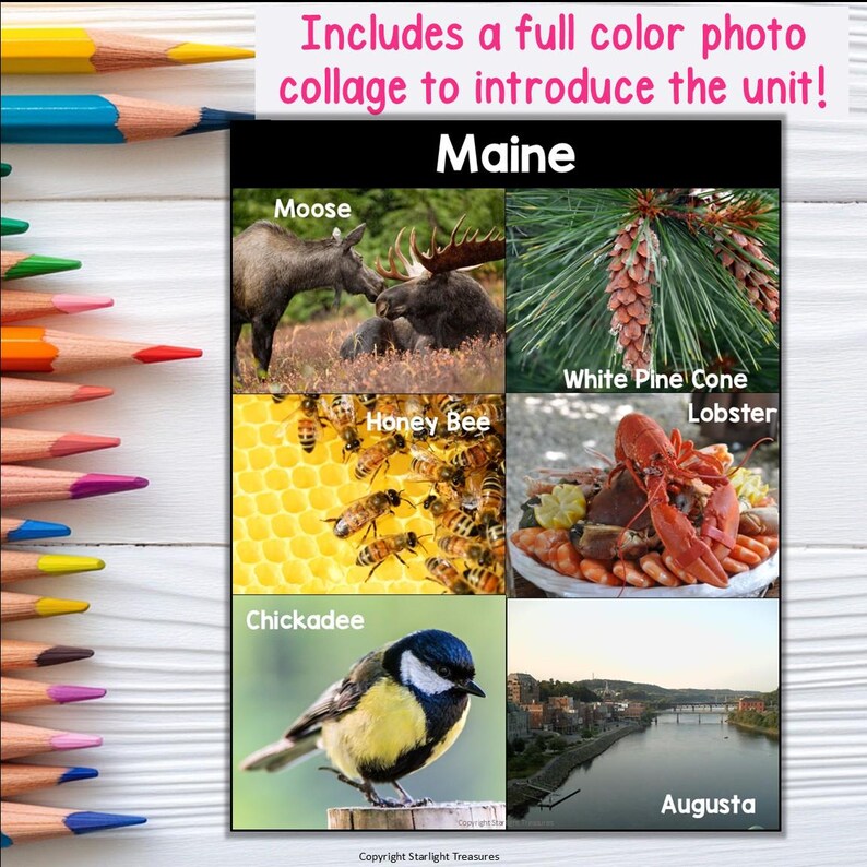 Maine Mini Book for Early Readers - A State Study - Etsy