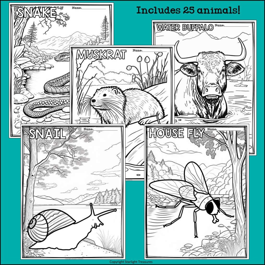 Wetland Animals Research Posters, Coloring Pages Animal Research ...