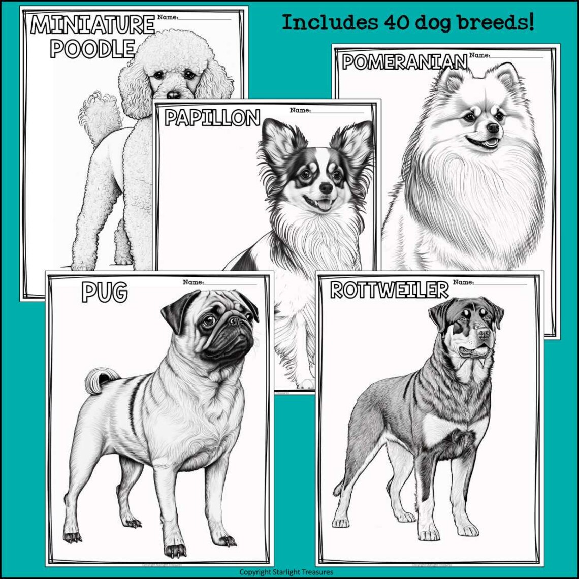 Dog Breeds Research Posters, Coloring Pages Animal Research Project for ...