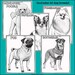 Dog Breeds Research Posters, Coloring Pages Animal Research Project for ...