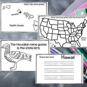 Hawaii Mini Book for Early Readers A State Study - Etsy