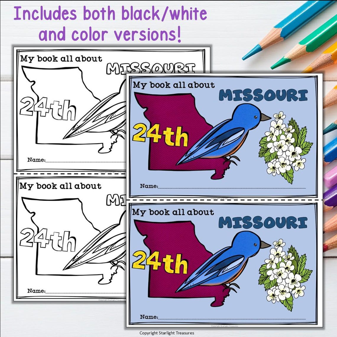 Missouri Mini Book for Early Readers - A State Study - Etsy