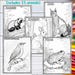 Woodland Animals Research Posters, Coloring Pages - Animal Research ...