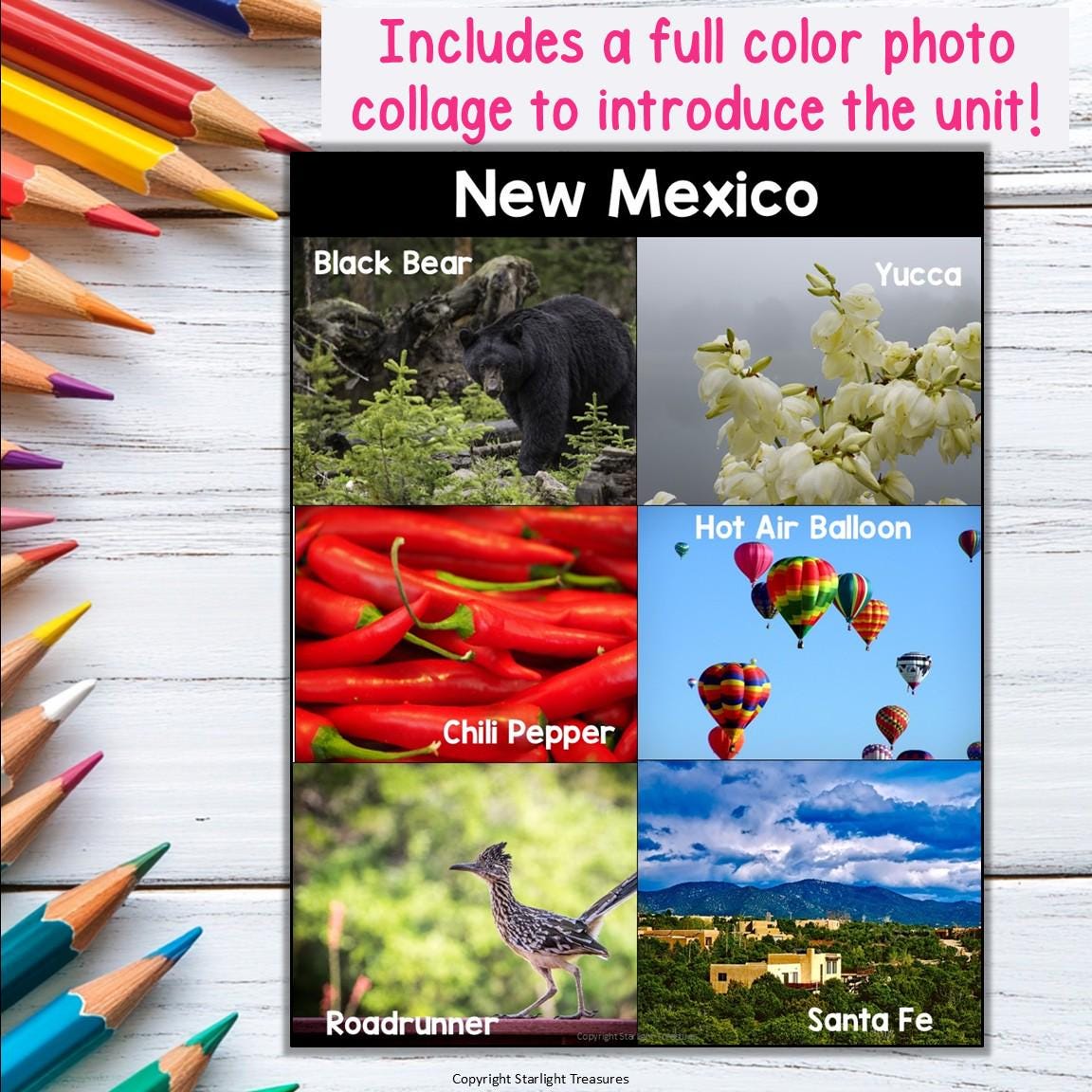 New Mexico Mini Book for Early Readers - A State Study - Etsy