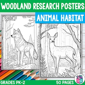 Woodland Animals Research Posters, Coloring Pages - Animal Research ...