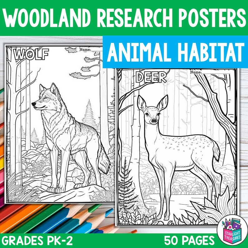 Woodland Animals Research Posters, Coloring Pages - Animal Research ...