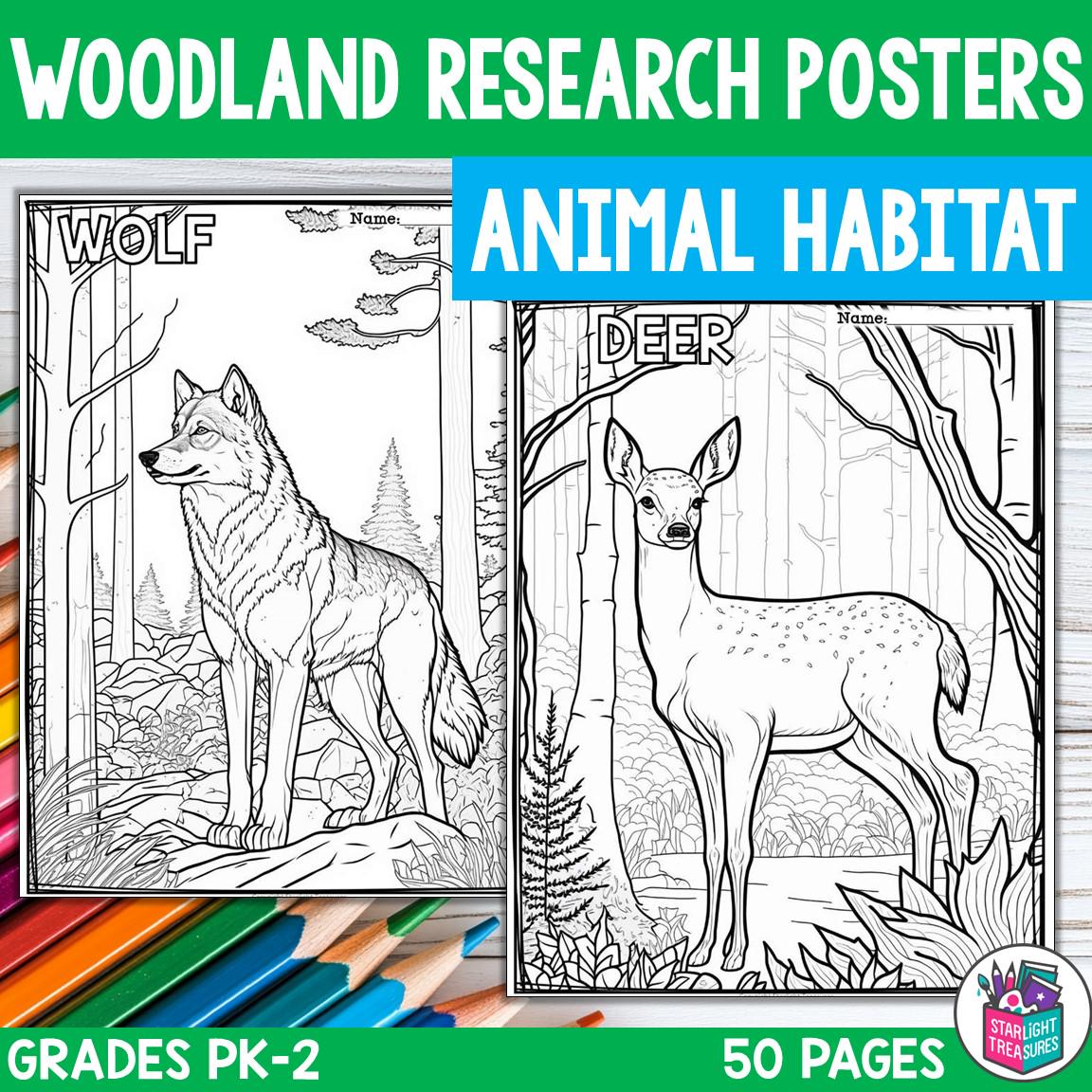 Woodland Animals Research Posters, Coloring Pages - Animal Research ...