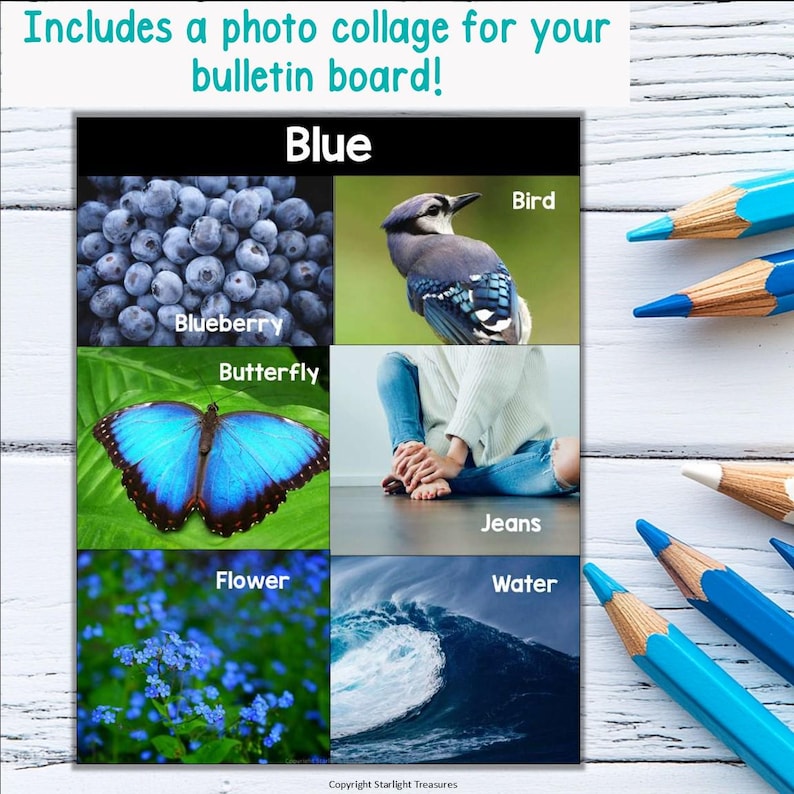 Colors of the Week: Blue Mini Book for Early Readers - Etsy