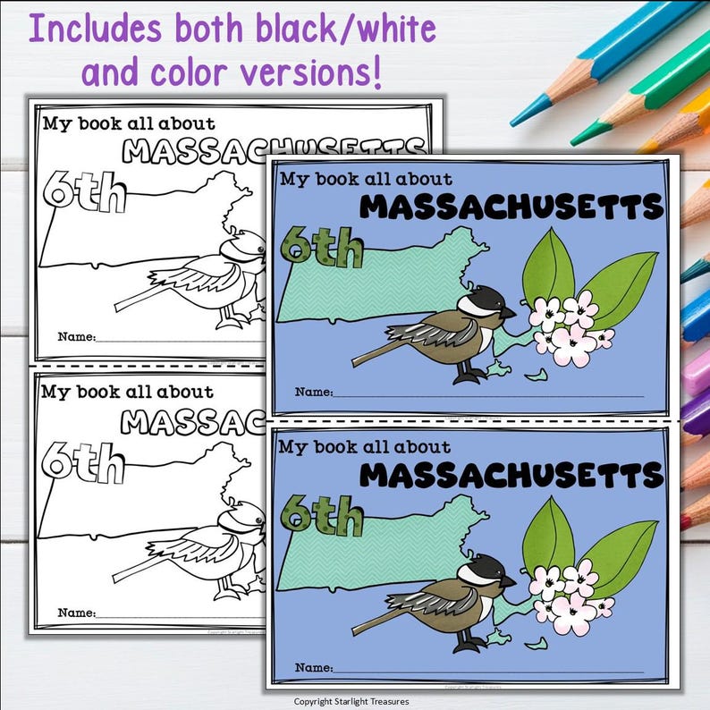 Massachusetts Mini Book for Early Readers - A State Study - Etsy
