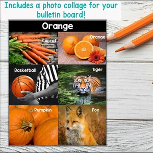 Colors of the Week: Orange Mini Book for Early Readers - Etsy