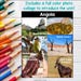 Angola Mini Book for Early Readers - A Country Study - Etsy