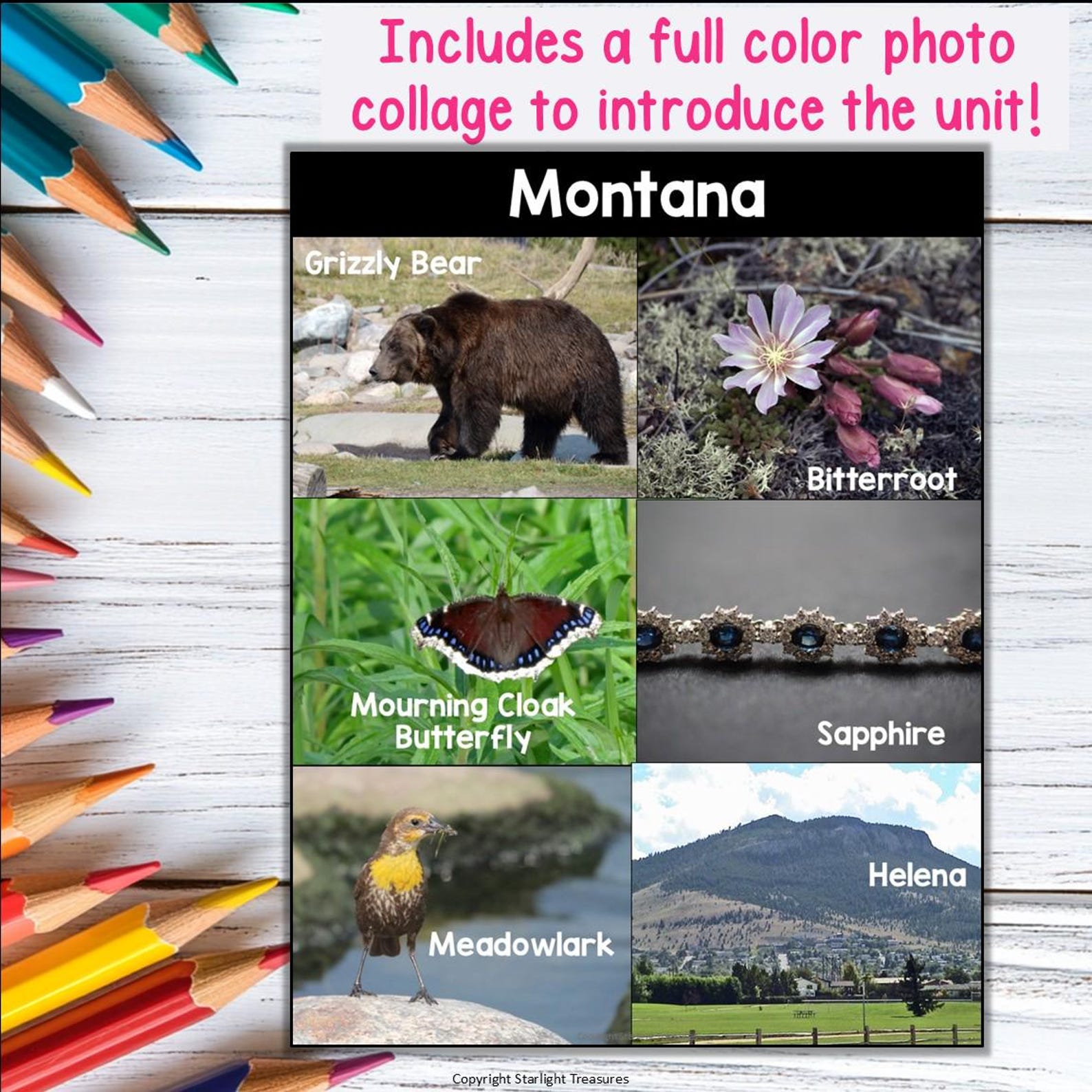 Montana Mini Book for Early Readers - A State Study - Etsy