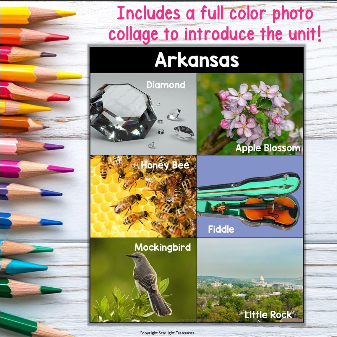 Arkansas Mini Book for Early Readers - A State Study - Etsy