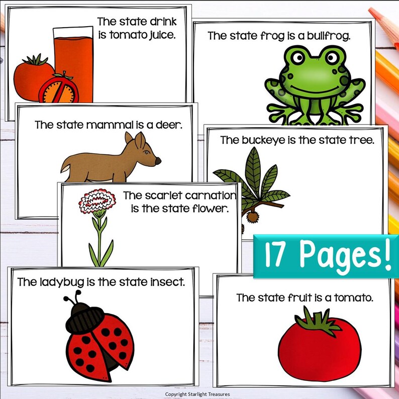 Ohio Mini Book for Early Readers - A State Study - Etsy