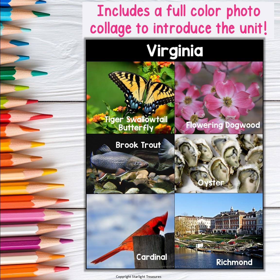 Virginia Mini Book for Early Readers - A State Study - Etsy