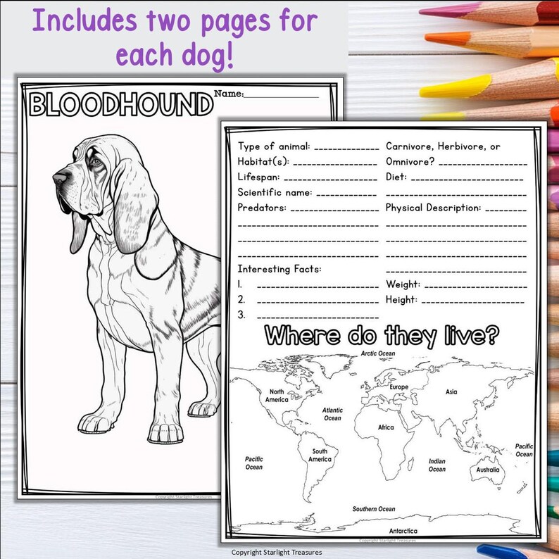 Dog Breeds Research Posters, Coloring Pages - Animal Research Project ...