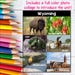 Wyoming Mini Book for Early Readers - A State Study - Etsy