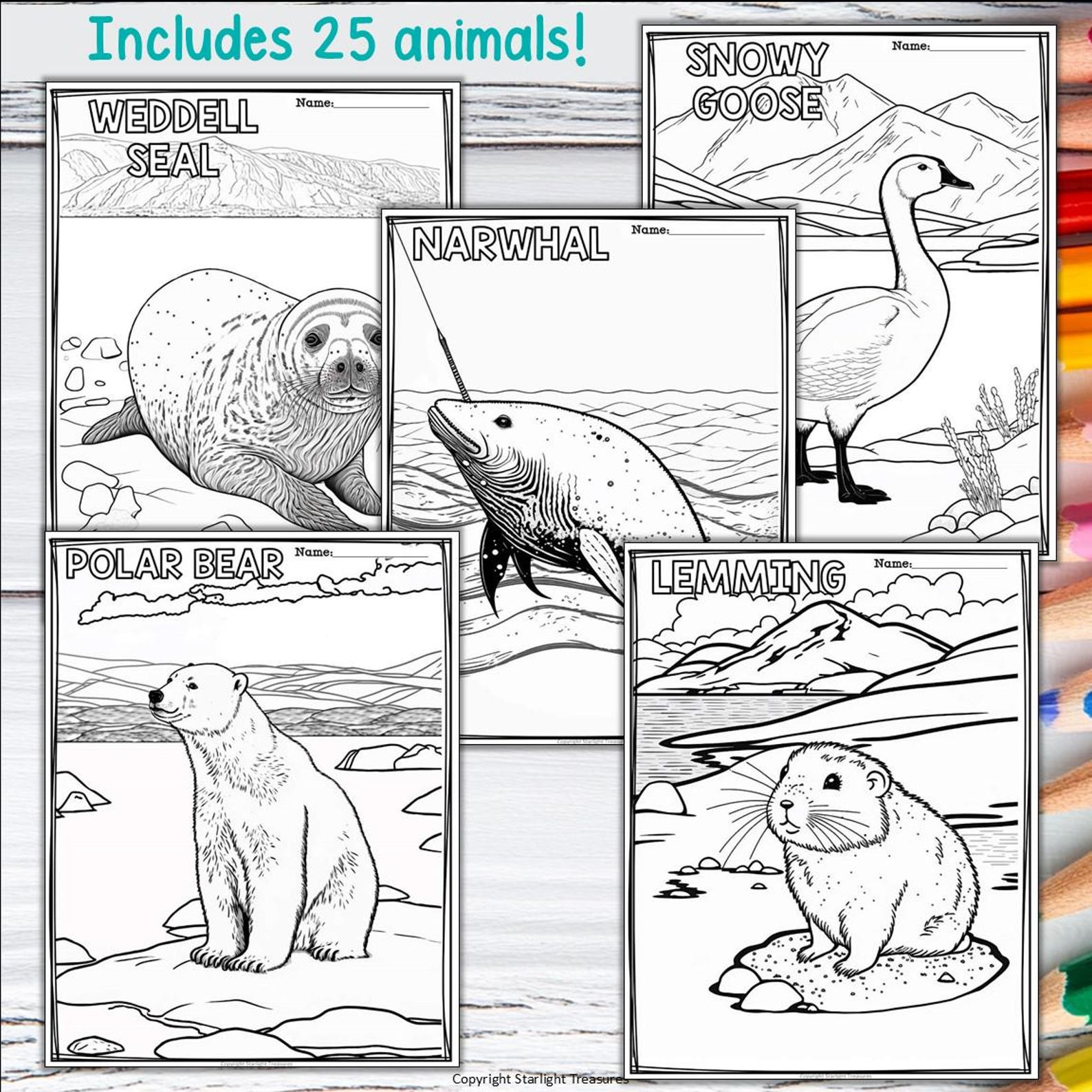 Arctic Animals Research Posters, Coloring Pages - Animal Research ...