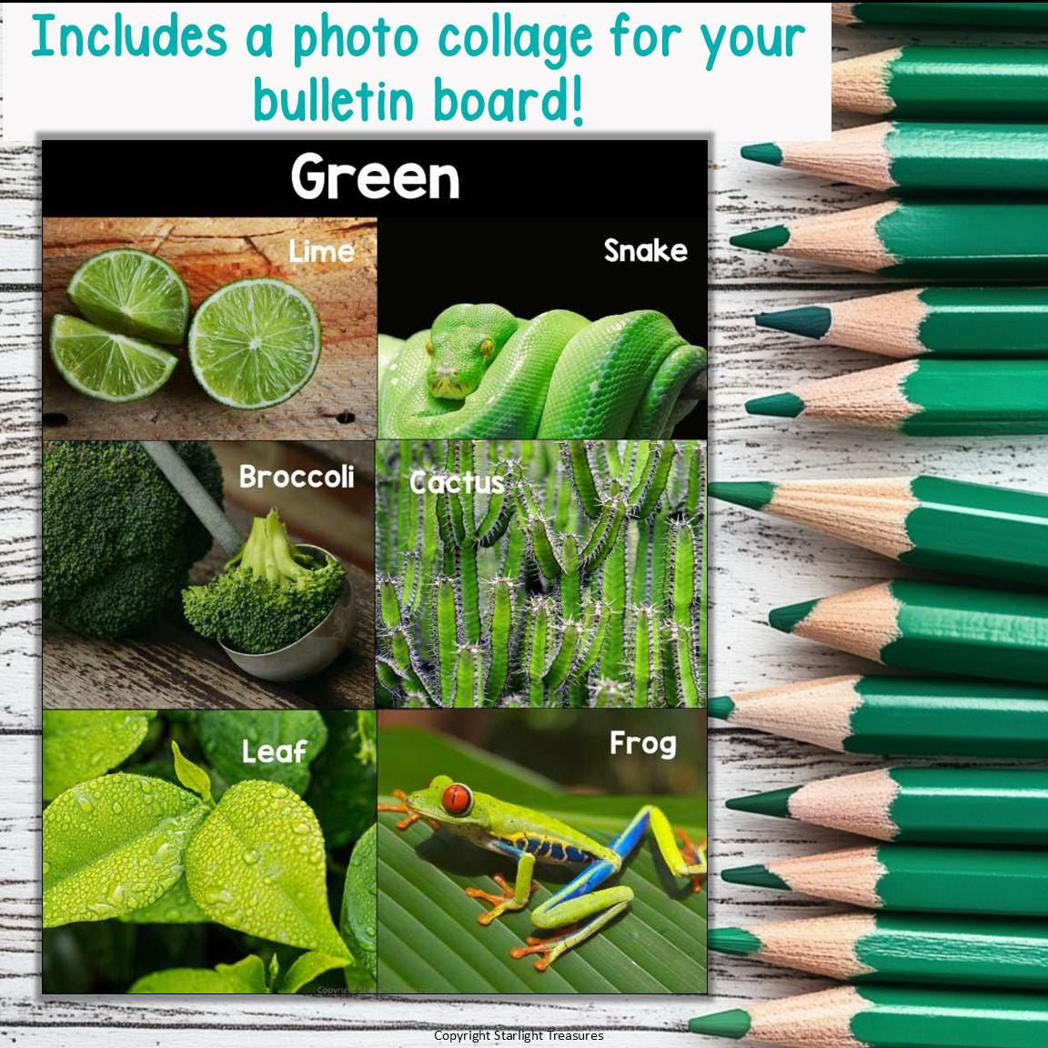 Colors of the Week: Green Mini Book for Early Readers - Etsy