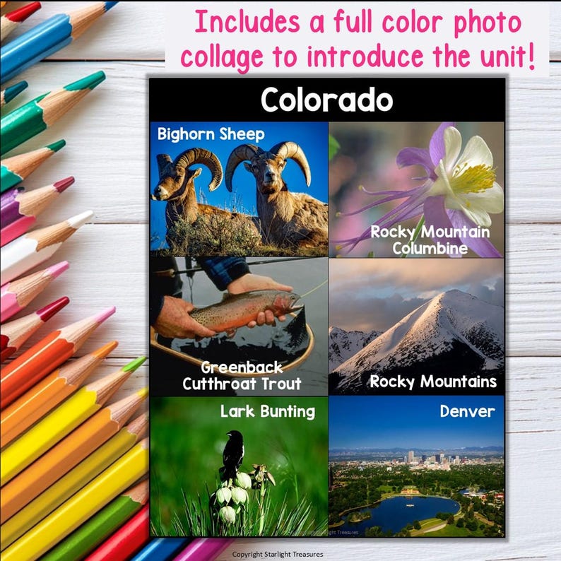 Colorado Mini Book for Early Readers - A State Study - Etsy