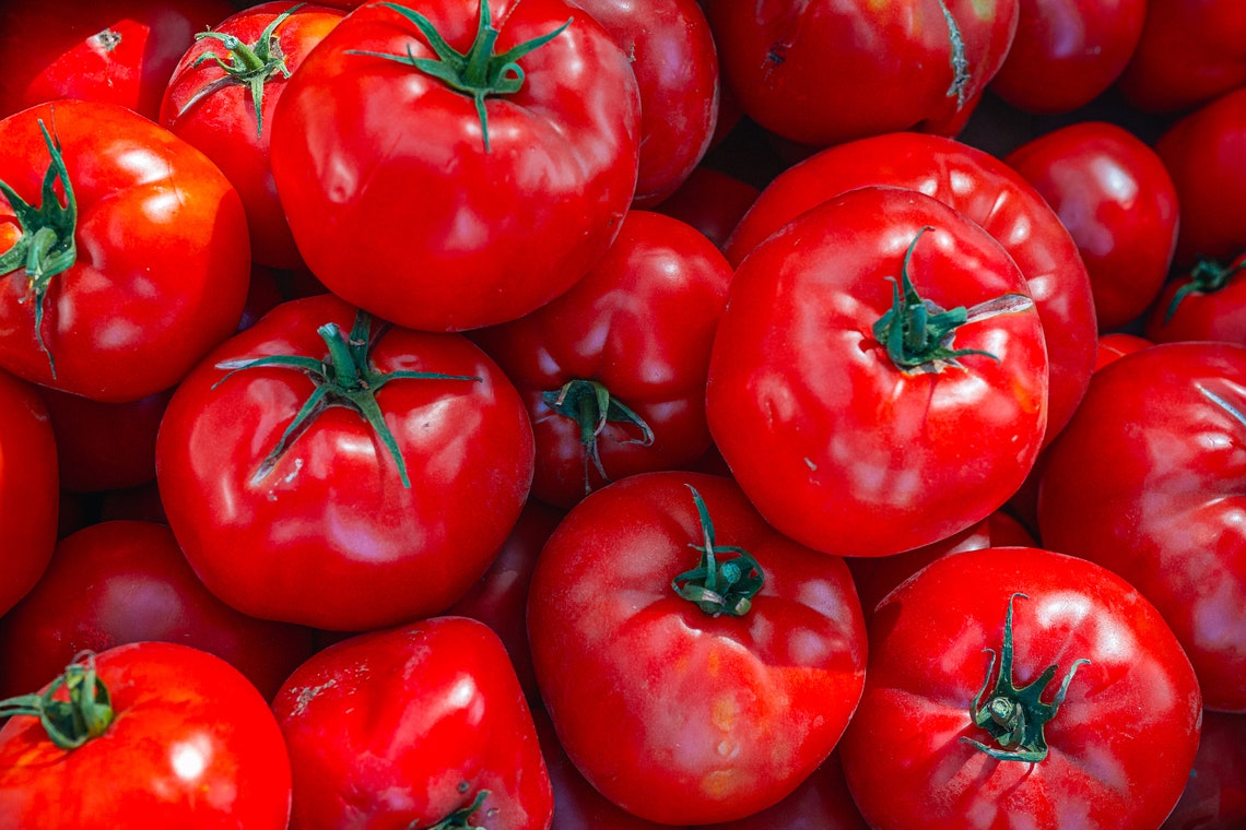 Fresh Red Tomatoes Print Farmers Market Photography, Kitchen Decor ...
