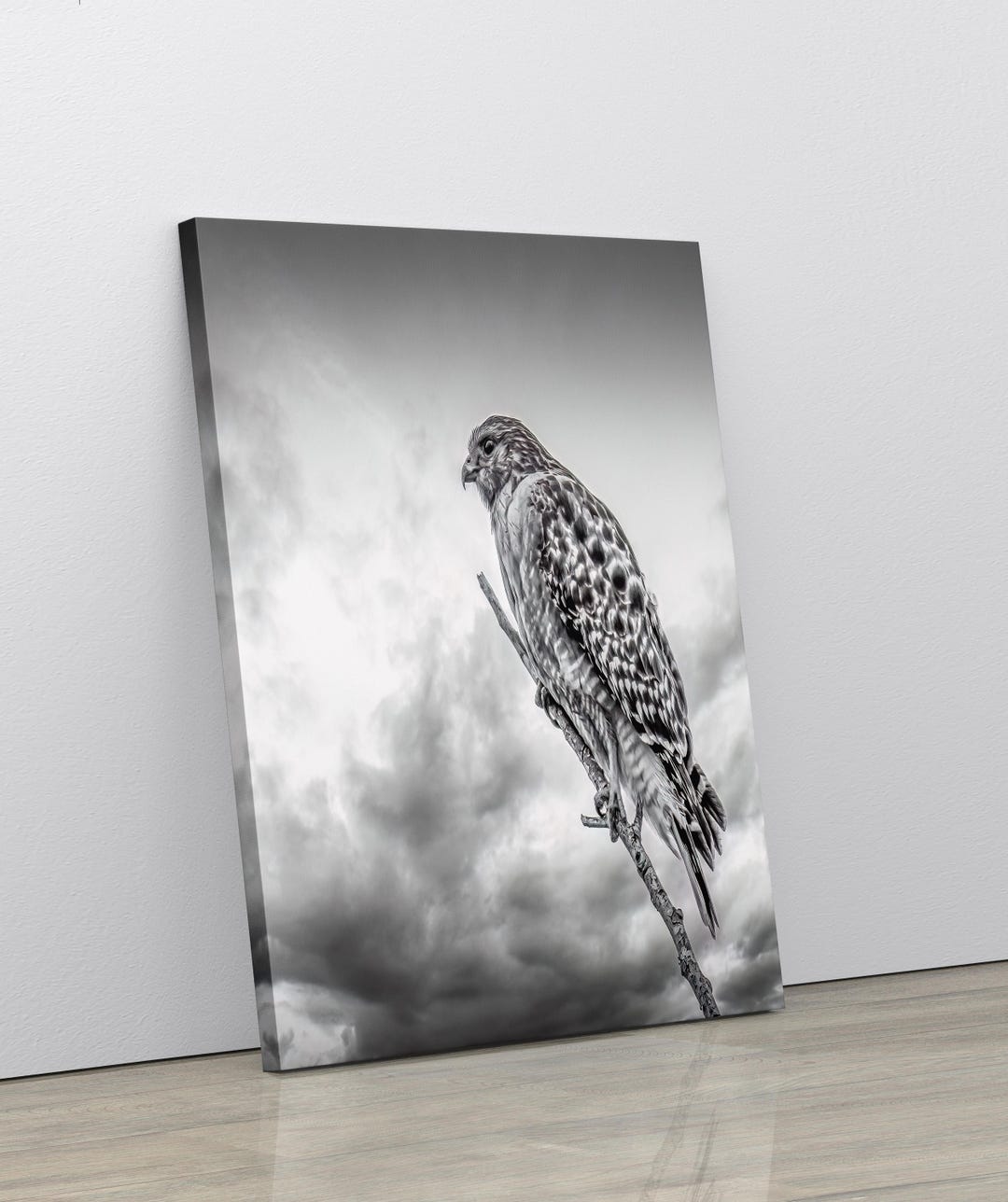 Moody Black and White Hawk Photography Dramatic Wildlife Wall Art ...