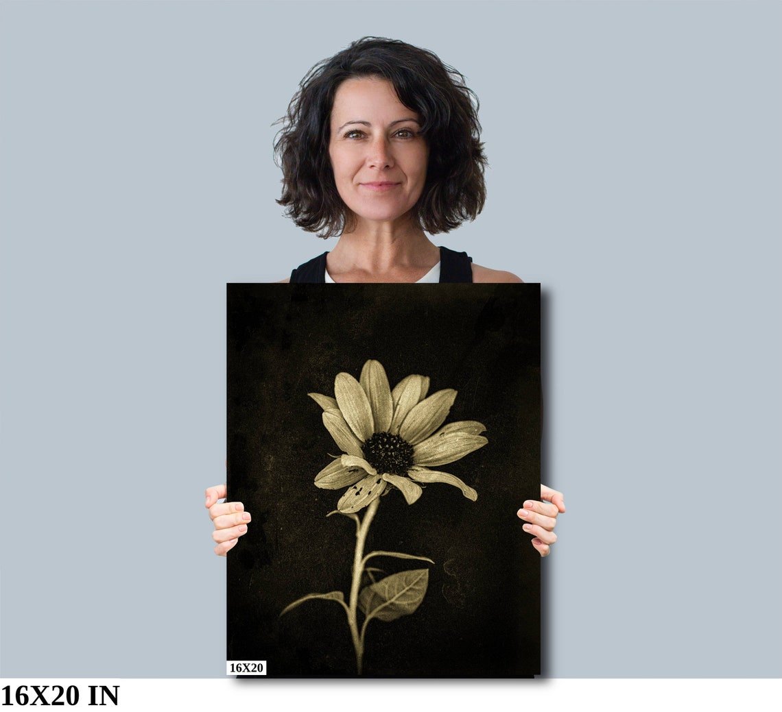 Antique Sunflower Photo Print, Nature Photo, Floral Sepia Photo Print ...