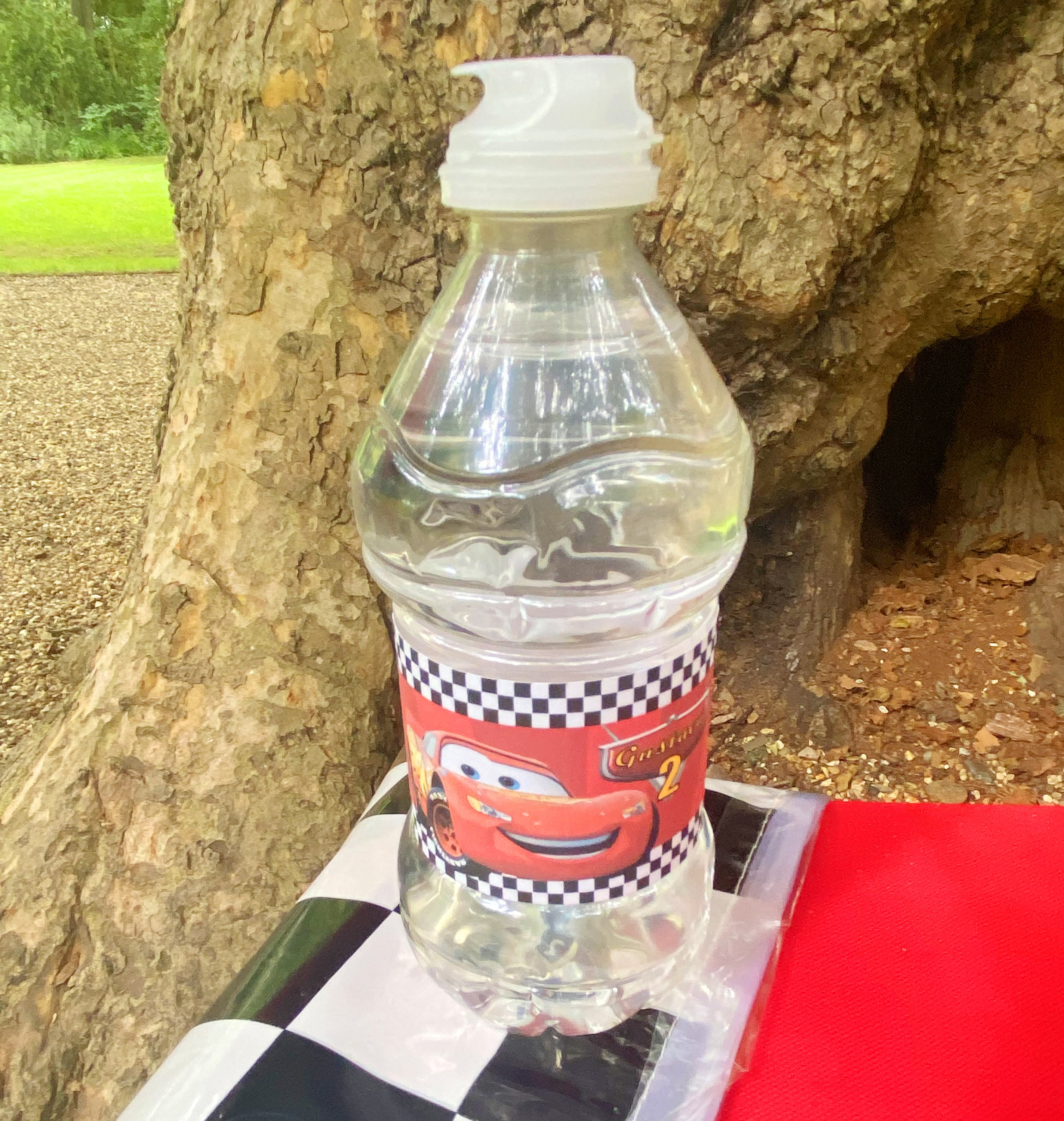 Cars Lighting Mcqueen Personalised Water Label - Etsy