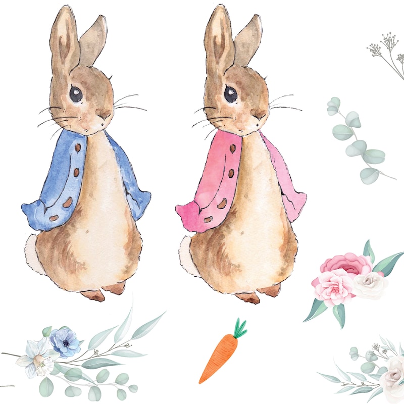 Peter Rabbit Clipart - Etsy