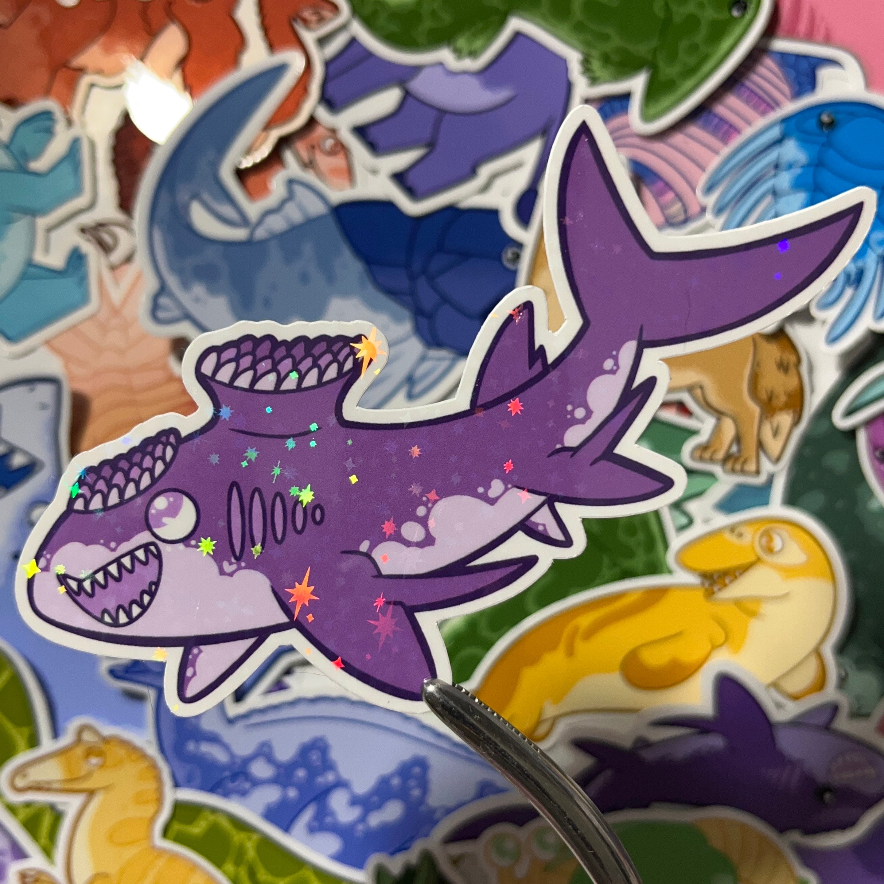 Fossile Di Stethacanthus