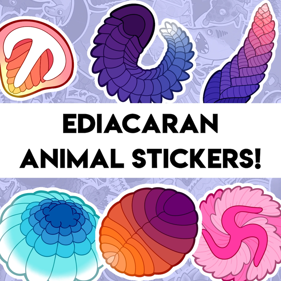 Ediacaran Paleontology Stickers 8 Designs Aspidella Mawsonites Charnia ...