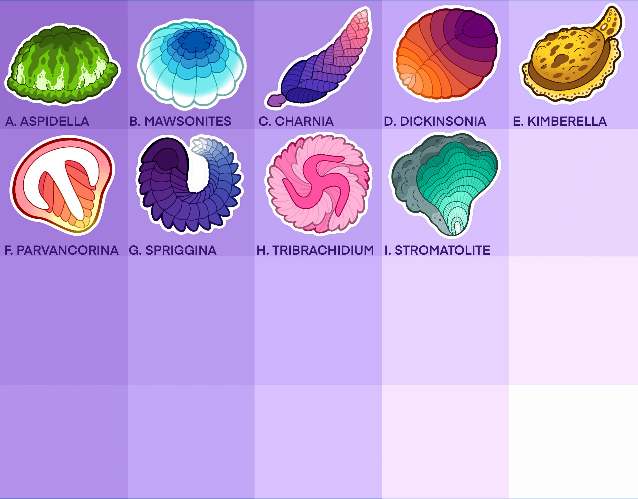 Ediacaran Paleontology Stickers - 9 Designs - Aspidella Mawsonites ...