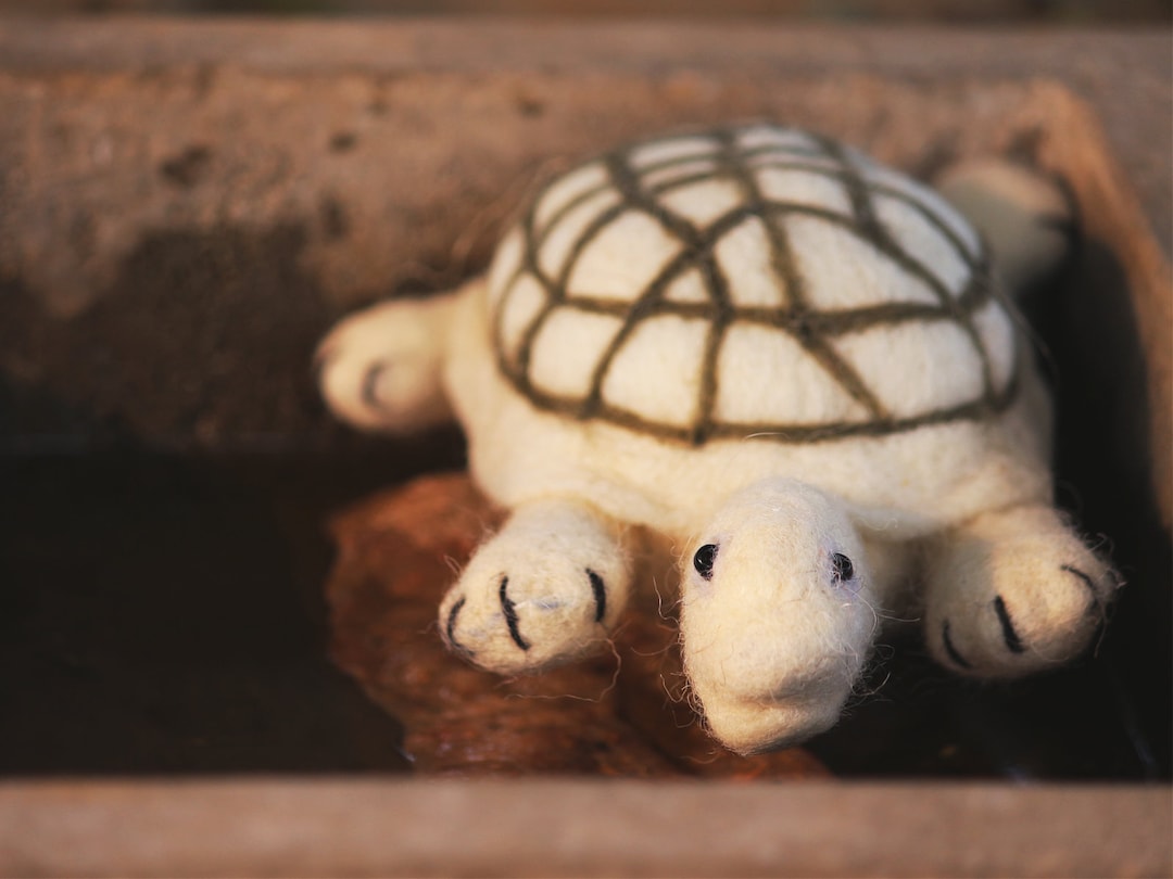 Wool Felt Turtle Toy, Tortoise Art and Decoration, - Etsy