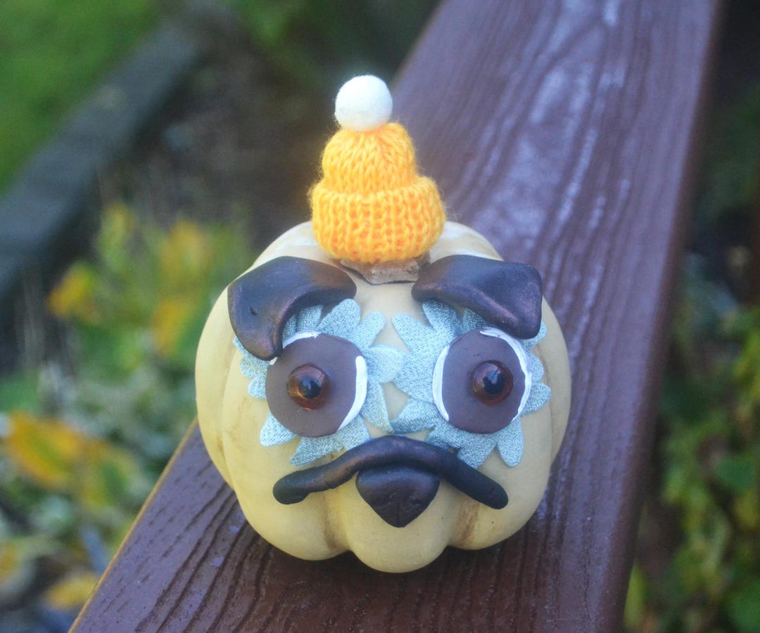 Fall Pumpkin Pug, Distinctive Fawn Pug Artwork for a Birthday Present ...